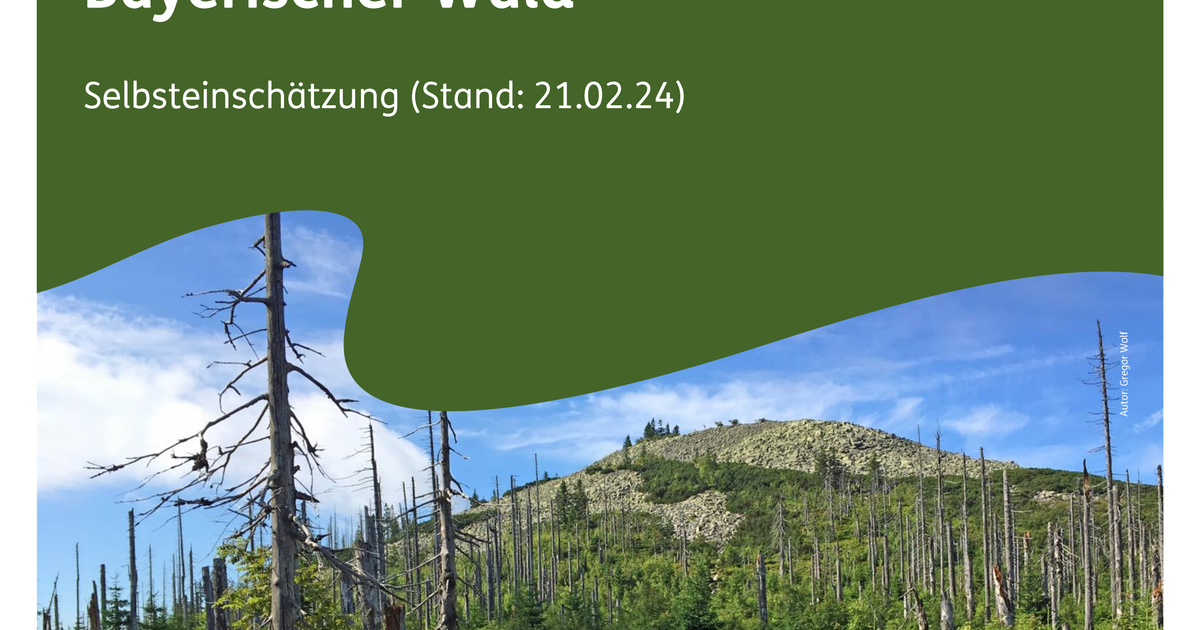 2024-02-21-selbsteinschaetzung-nlp-bayerischer-wald_geschwaerzt ...